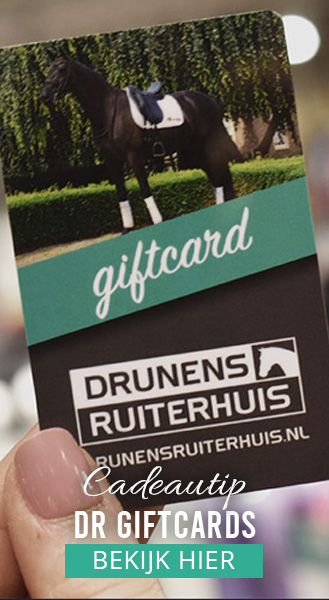 Kado en hond | Drunens Ruiterhuis
