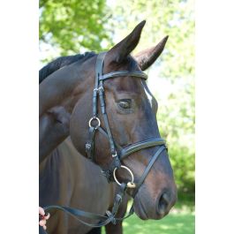 Trenshoofdstel ST-Zaum