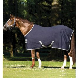 Staldeken Amigo Stable Sheet