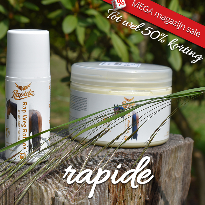 Mega magazijnopruiming - Drunens Ruiterhuis